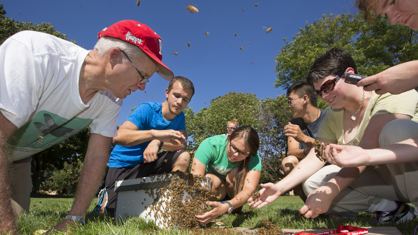 Department of Entomology | Nebraska