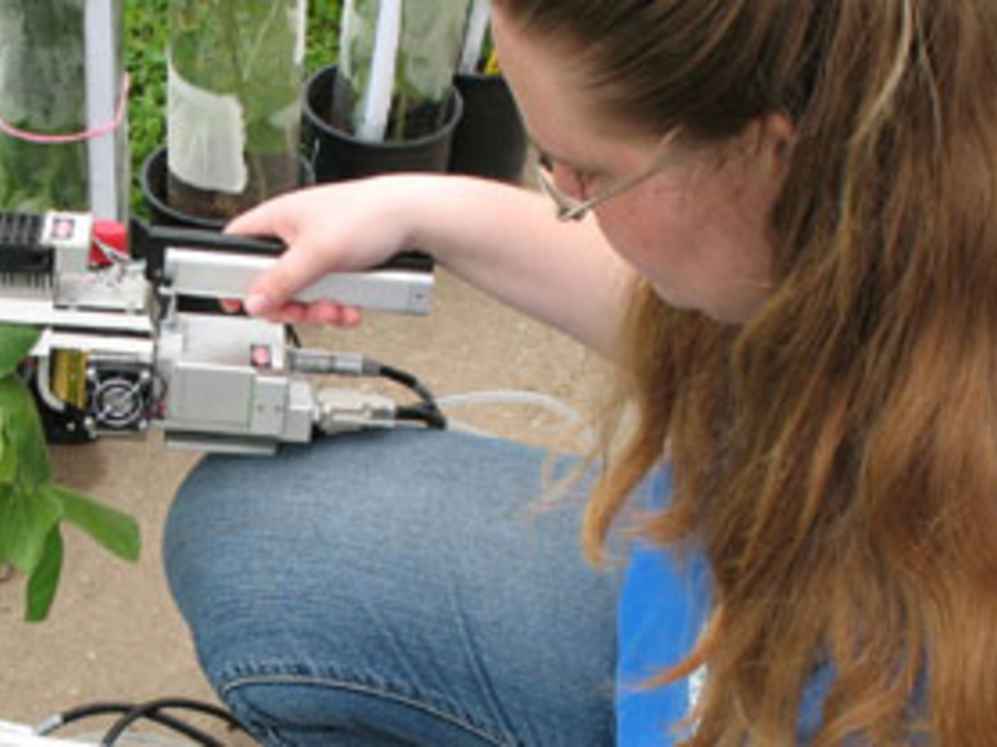 Graduate Programs | Department of Entomology | Nebraska